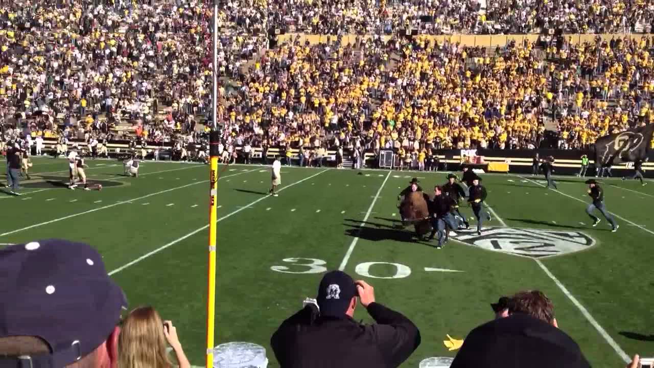Running of Ralphie 2 - YouTube