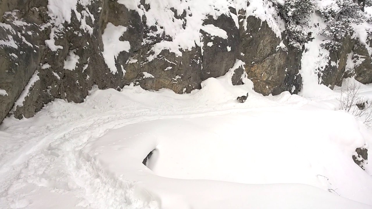 Shikoku Tessaiga in the snow 3 - YouTube