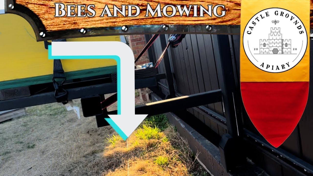 Mowing Grass Around Bees: The Absolute Best, Easiest, and Safest Way ...