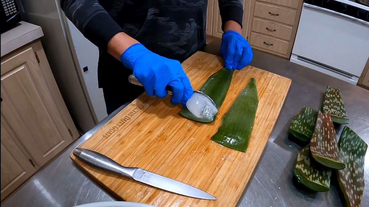 Processing Aloe For Soap Making - YouTube