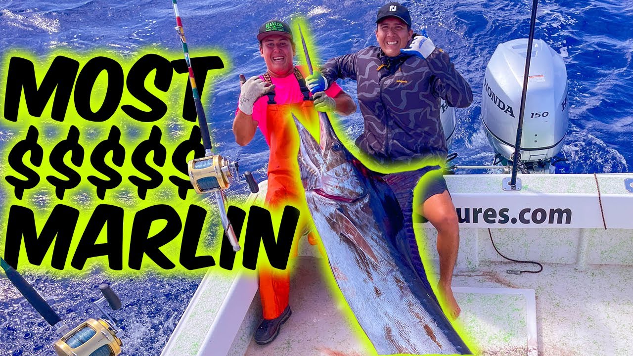 MOST EXPENSIVE BLUE MARLIN AUCTIONED IN HAWAII! Live Bait Fishing Mahi ...