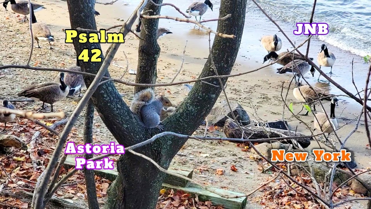 Psalm 42 NIV Put Your Hope In God Astoria Park Queens New York psalm-42-niv-put-your-hope-in-god-astoria-park-queens-new-york