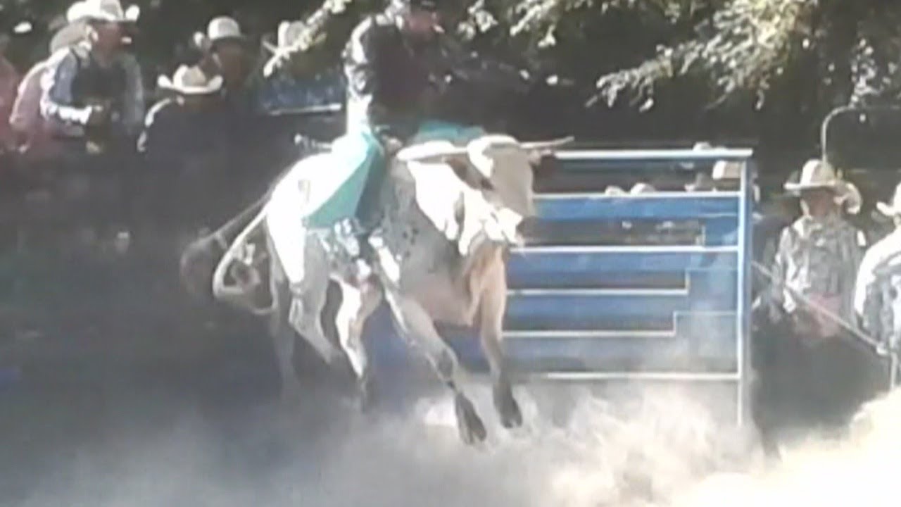 New Mexico family sues after son dies in bull riding accident - YouTube