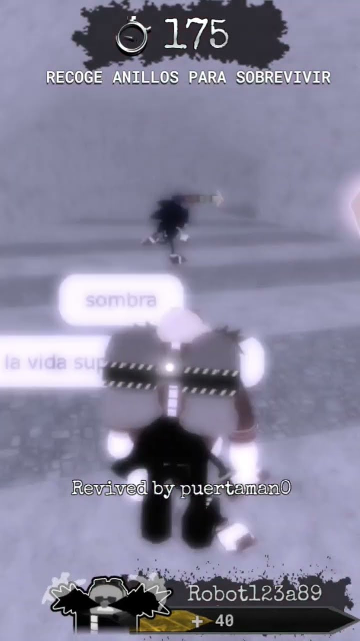 Momento XD de El Shadowne.exe #roblox en el server @FC0088 - YouTube