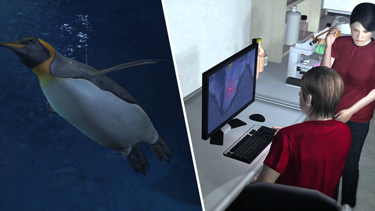 Researchers lose track of Happy Feet emperor penguin - YouTube