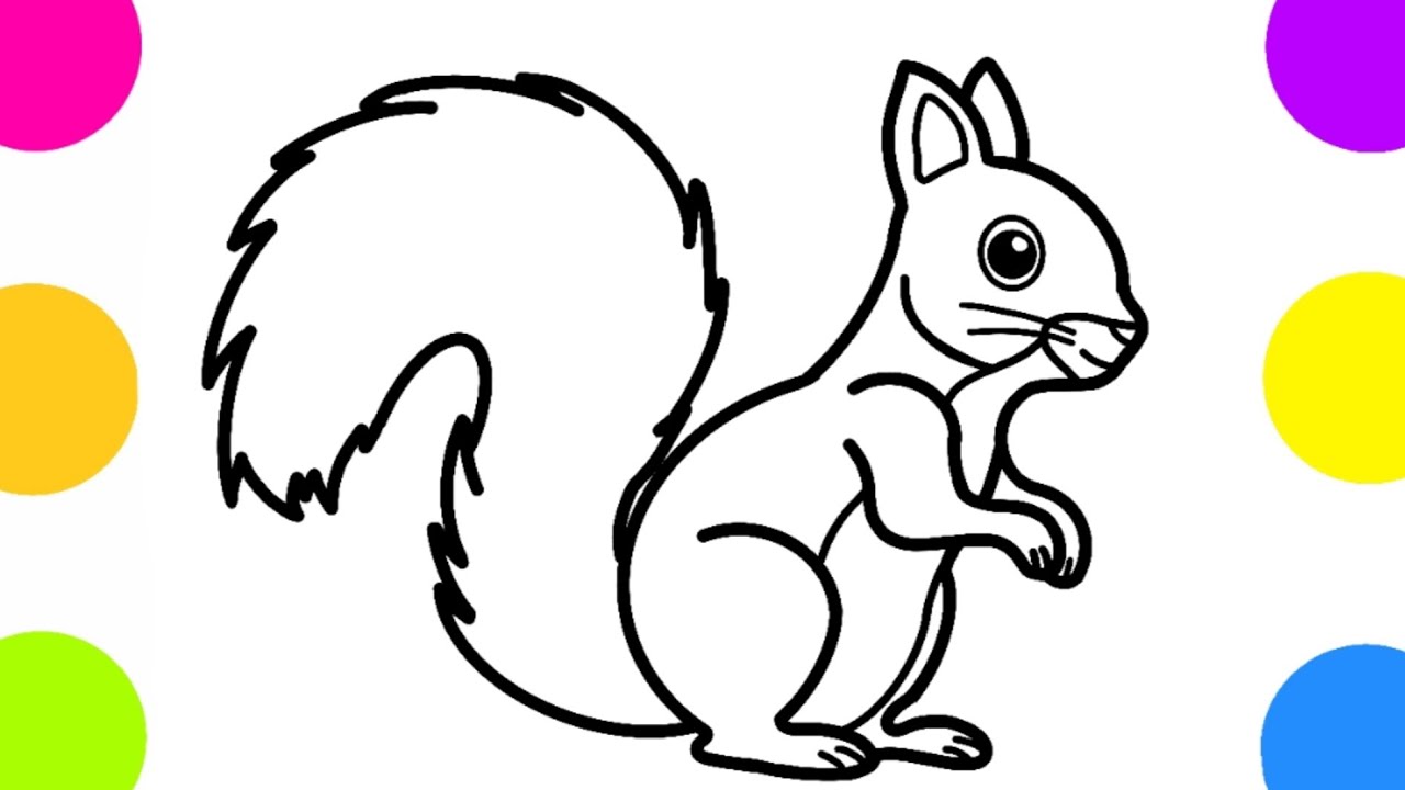 How to draw a squirrel easy - Drawing for kids - YouTube