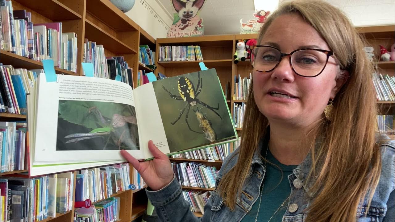 Crickets and Grasshoppers by Elaine Pascoe - YouTube