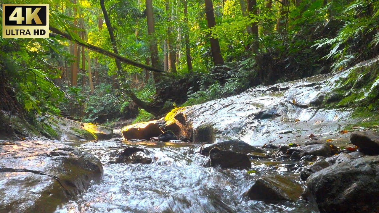 The Waterfall Stream Japanese Nature 【4k Video Ultra HD】 - YouTube