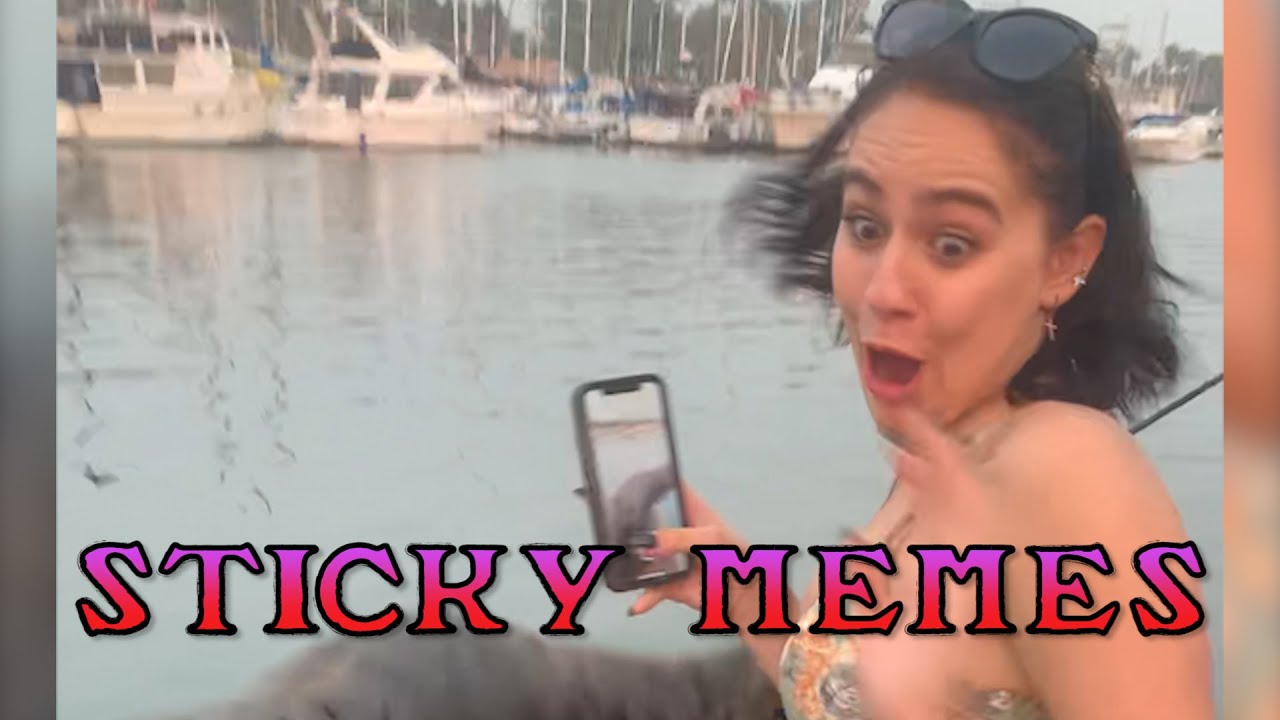 Sticky Memes I Find it Difficult to Procrastinate To - YouTube