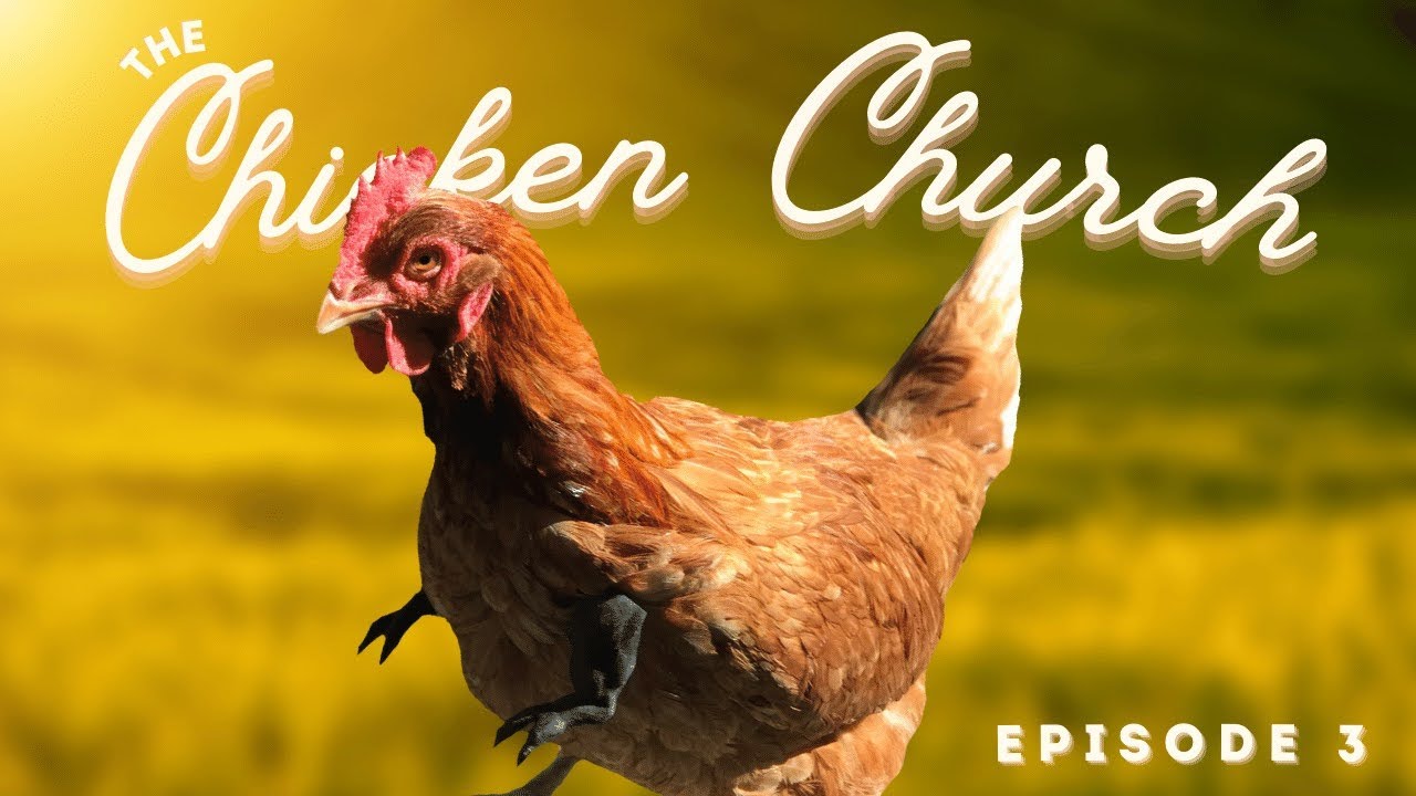 The Chicken Church - Ep 3 (Couple Builds Luxury Chicken Coop) - YouTube