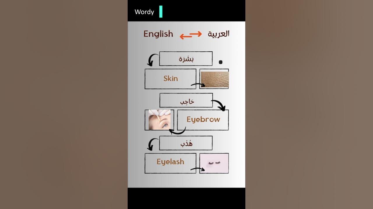 Body Parts Arabic to English, parts of Face #shorts Vocabulary - YouTube