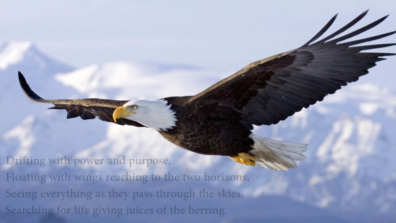 Eagles - Inspirational Poem by Lawrence Cooper - YouTube