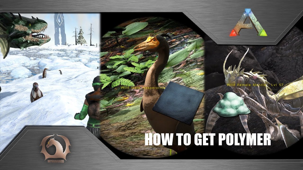 Ark Survival Evolved How To Get Polymer YouTube ark-survival-evolved-how-to-get-polymer-youtube