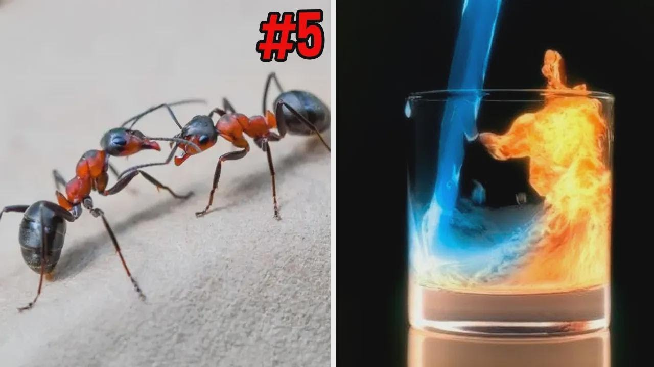 ¡Probando los 7 experimentos más raros de internet! - YouTube