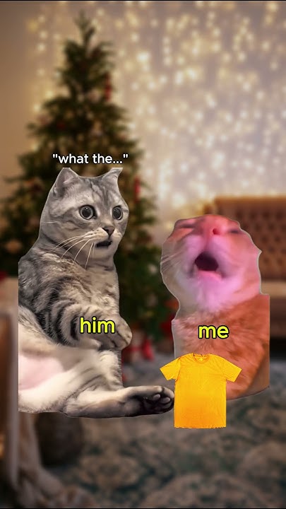 POV: Gift Giving is Your Love Language (meow meow edition) - YouTube