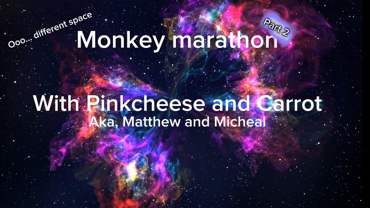 Monkey Marathon (part 2) - YouTube
