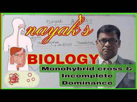 Differentiate between monohybrid cross and Incomplete Dominance, - YouTube