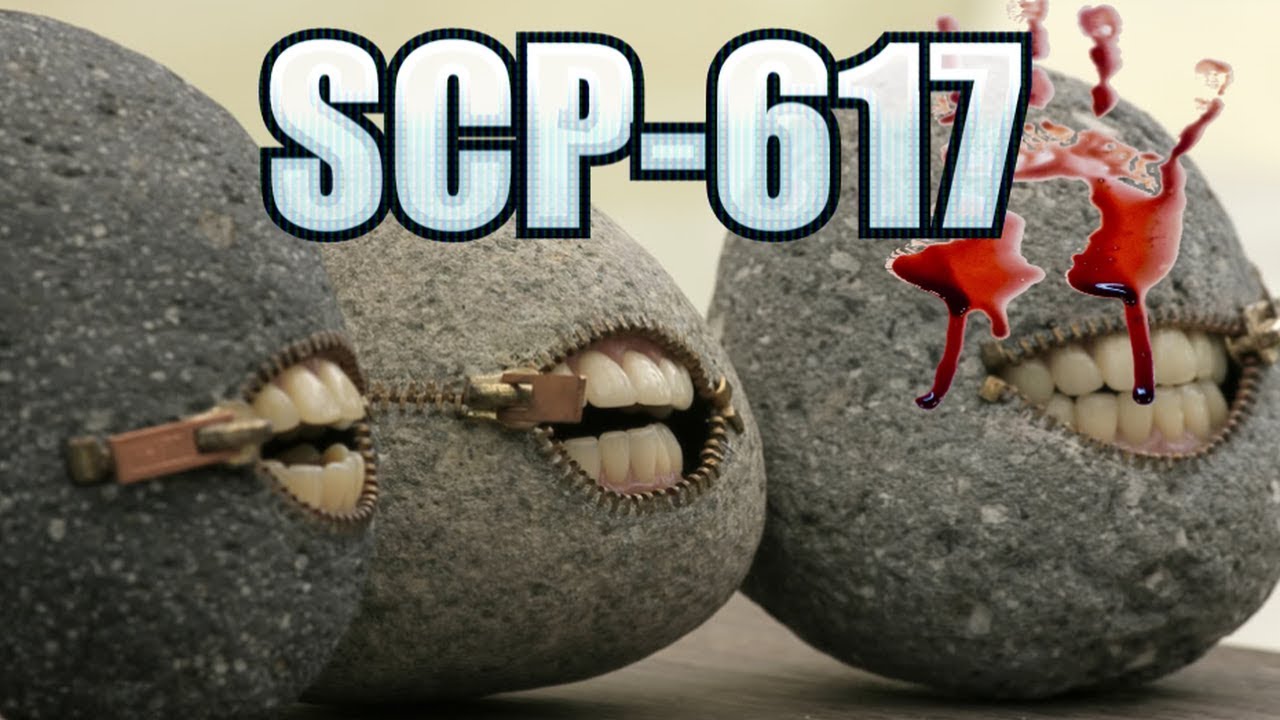 SCP-617, les PIERRES DOMESTIQUES ( pet rock ) et SCP-127, l'ARME ...