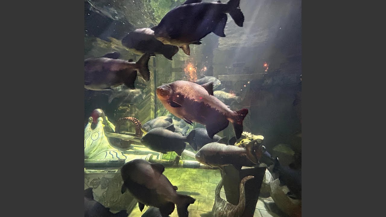 Loosely Speaking Backing Track 2 - YouTube