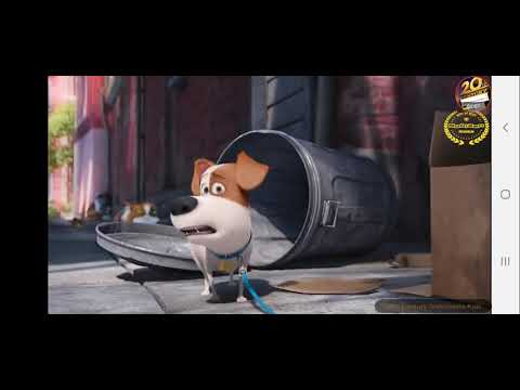 The Secret Life of Pets Max Loses His Collar Scene - YouTube