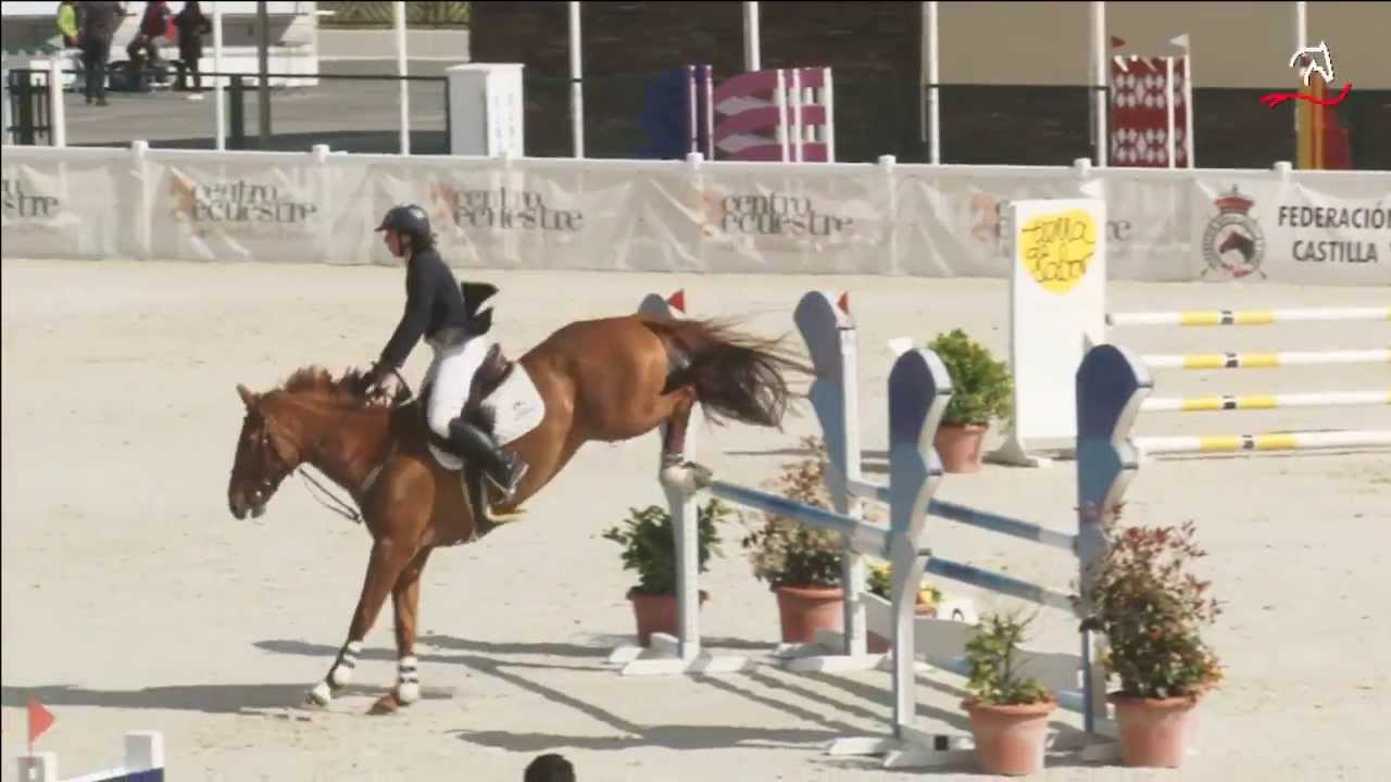 Carla Alonso Benito & VALDELAMADRE CENTALYON (Centauer Z x Ginger's ...