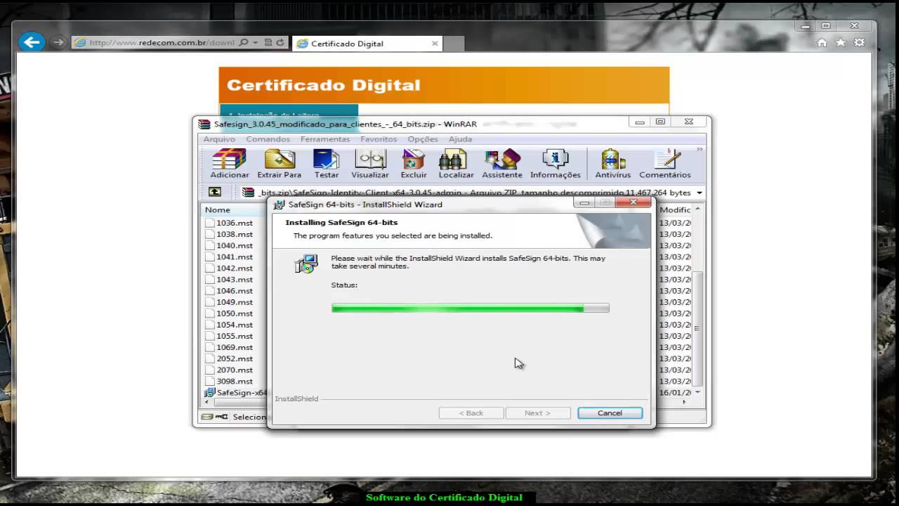 Tutorial "Software do Certificado Digital" - YouTube