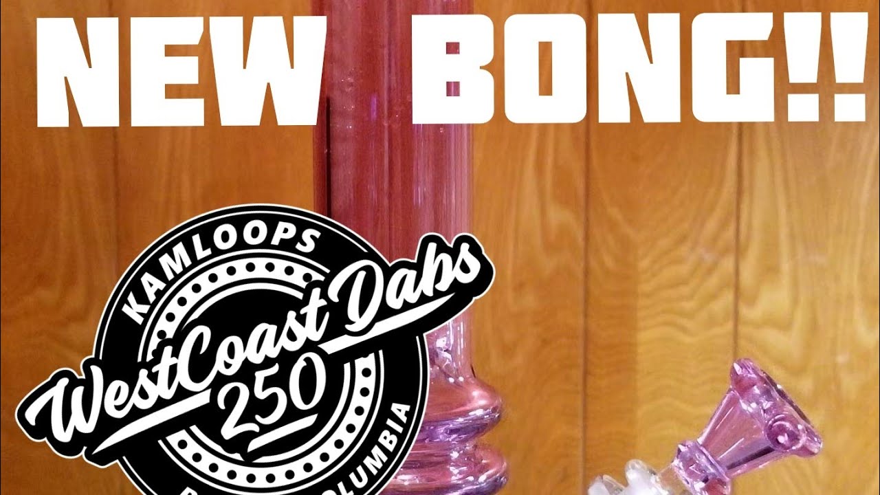 Forgot what new Bongs were like (New Bong) & Will Shitbong Be Neglected ...