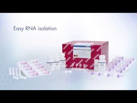 RNeasy FFPE Kit Purify total RNA from FFPE tissue sections - YouTube