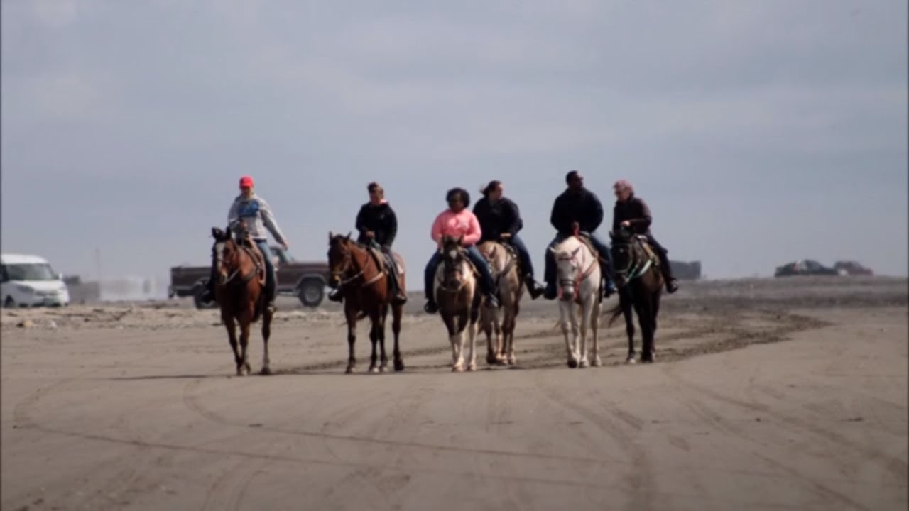 HORSES, KITES AND FLAGS AT OCEAN SHORES, WASHINGTON - YouTube