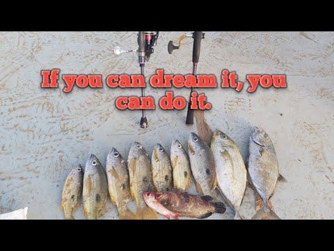 Red Sea Fishing Episode 2 🎣Unli One Spot Snapper (aluman ) plus Golden ...