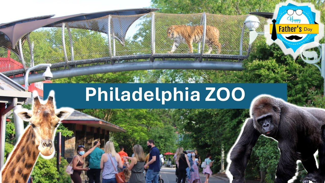 ANIMALS AT PHILADELPHIA ZOO + Wildlife + Nature Father's Day / Animales ...