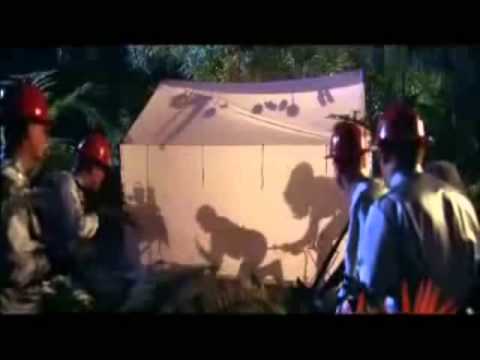 Canal de TV-  Sutra