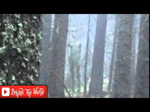 grey alien spotted by hikers | Behind The World - YouTube