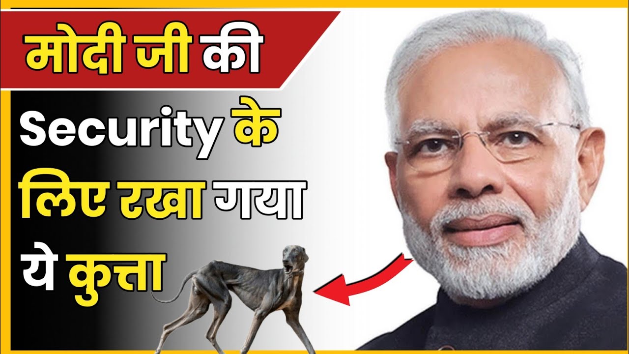 मोदी जी की Security Force में शामिल हुआ ये कुत्ता | कैसे होती है Pm ...
