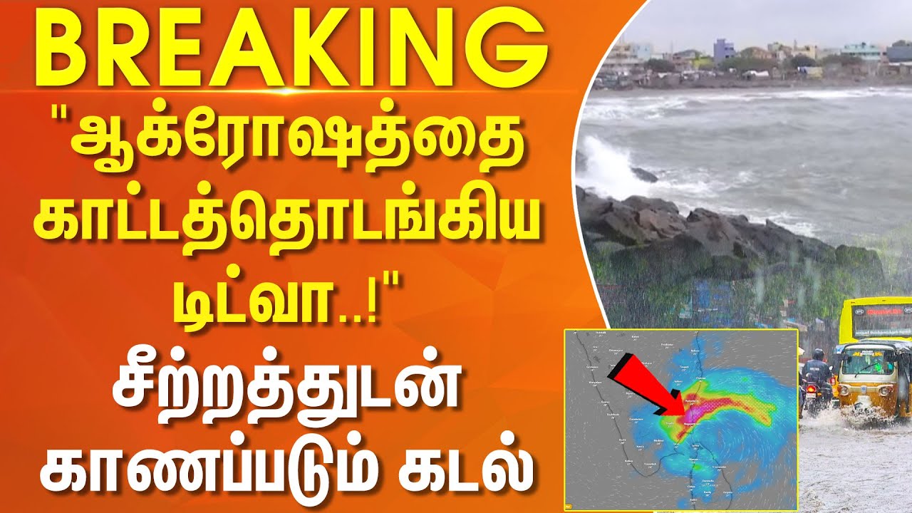 Ditwah Cyclone | Cuddalore | "ஆக்ரோஷத்தை காட்டத்தொடங்கிய டிட்வா ...