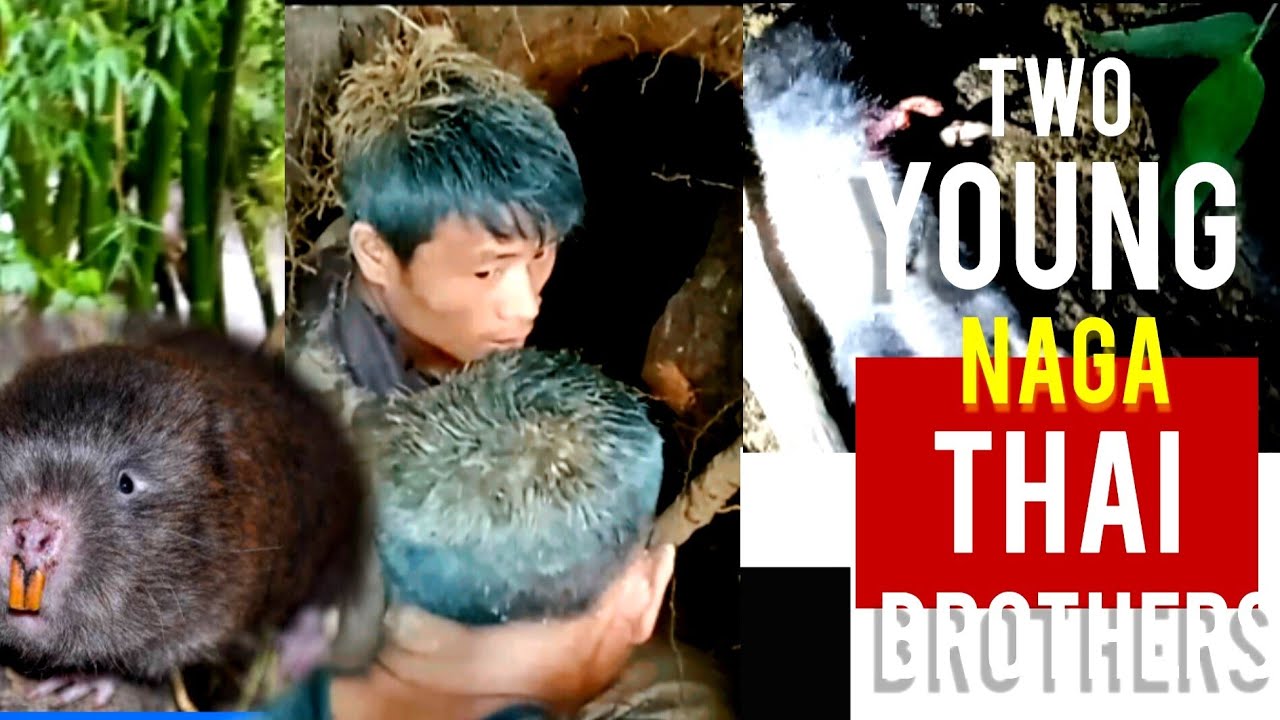 Two Young Naga Thai brothers Hunting For Bamboo Rats || Not so easy Job ...