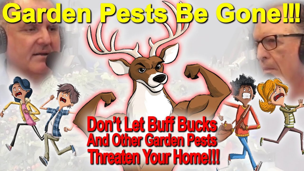 Garden Pests Be Gone!! | Deer, Moles, Voles, Groundhogs, Skunks, & More ...