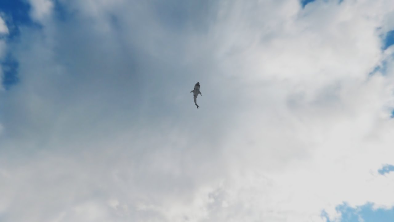 yeah transitions yeah!1!1!1! - YouTube