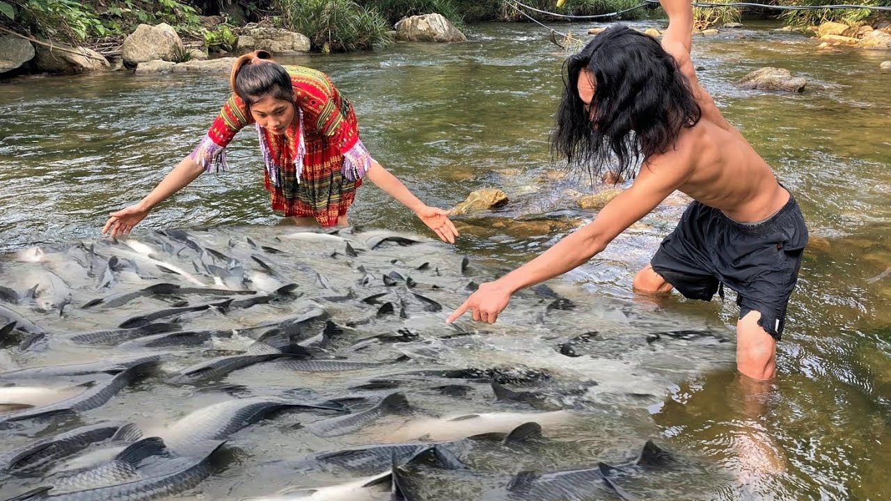 primitive life | find and catch fish in the stream | caught a lot of ...