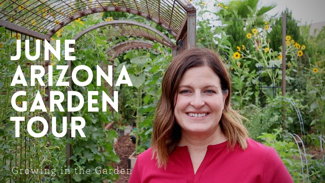 June GARDEN TOUR in Mesa, Arizona - YouTube