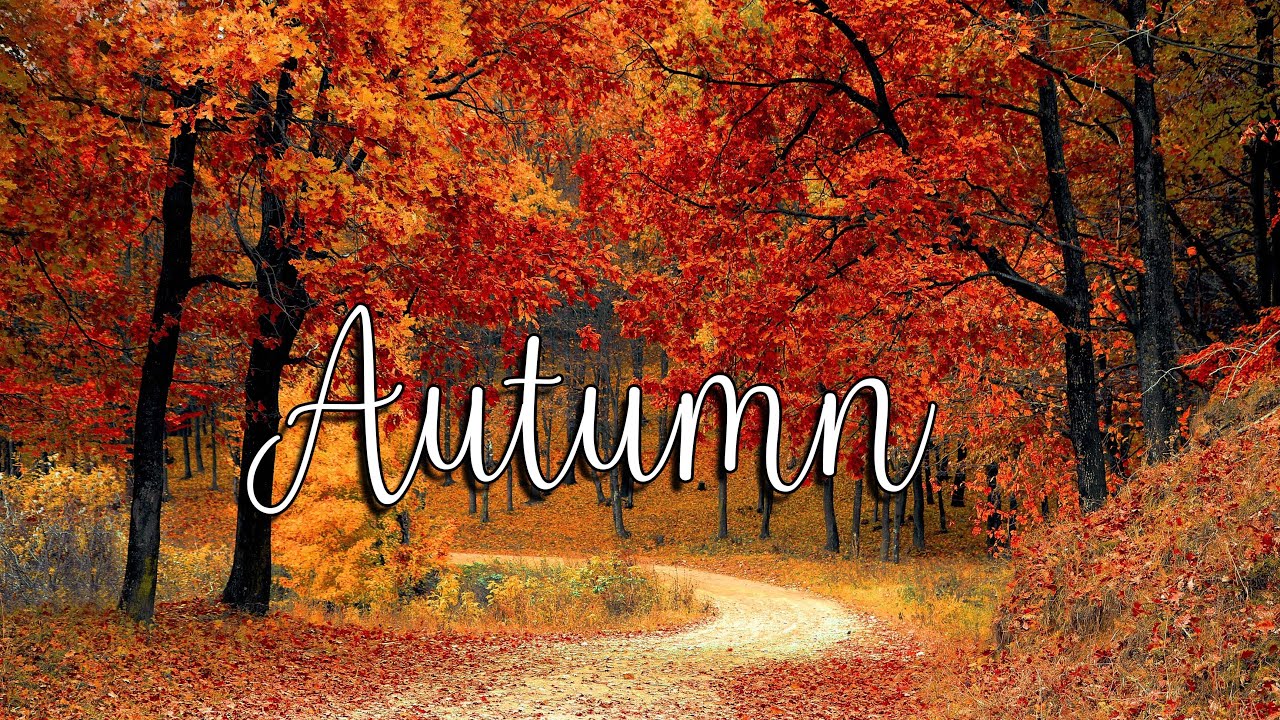 Relaxing Autumn Scenery - Autumn Foliage - YouTube