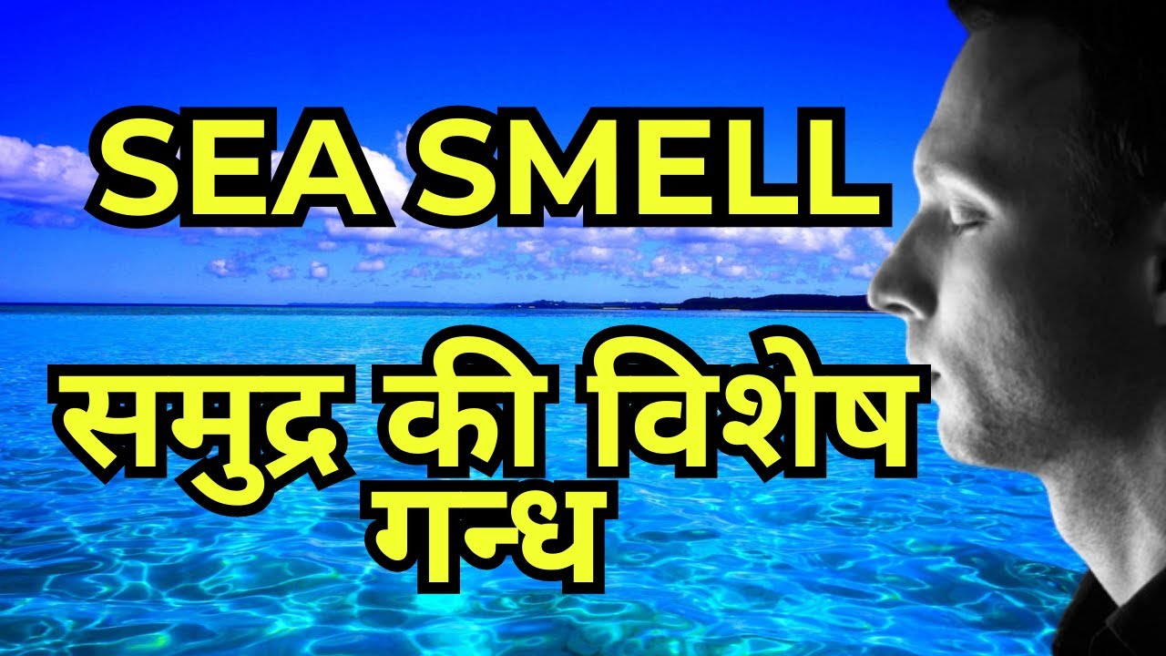 Typical Sea Smell || समुद्र की विशेष गन्ध, गैस जो बादल बनाती है,Climate ...