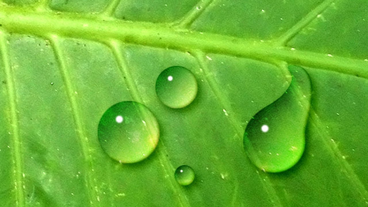 DropsPhotoshop Tutorial: How to Make Water Drops - YouTube