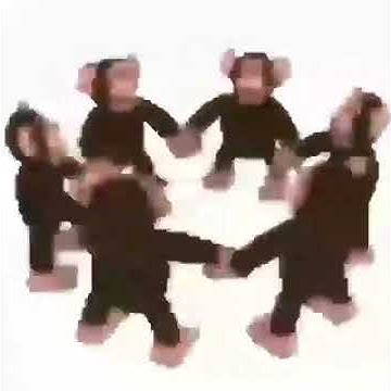 Happy Monkey Circle Meme - YouTube