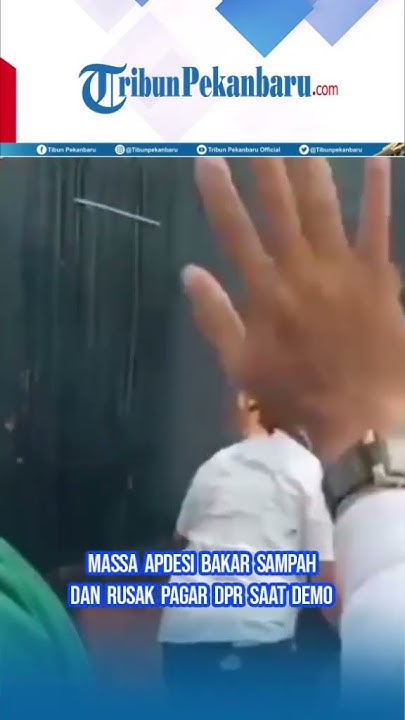 Demo di Depan Gedung DPR, Massa Apdesi Bakar Sampah dan Pukul Gerbang Pakai Palu - YouTube