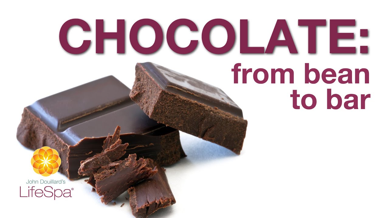 Chocolate: From Bean to Bar | John Douillard's LifeSpa - YouTube