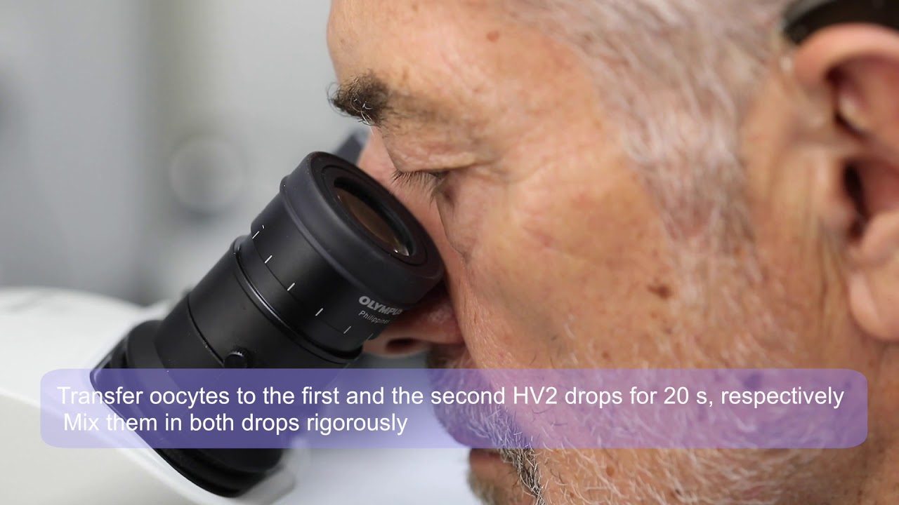 OPS (Open Pulled Straw) vitrification - from VitaVitro - YouTube