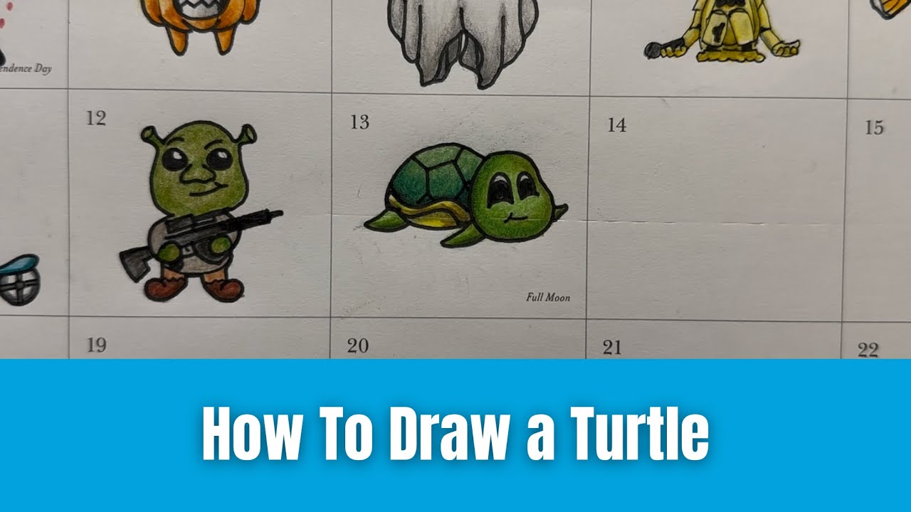 How to Draw Cartoons: Turtle - YouTube