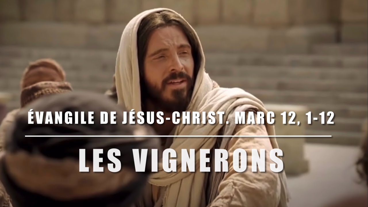 Évangile de Jésus Christ + commentaire Marc 12, 1-12 - les vignerons # ...