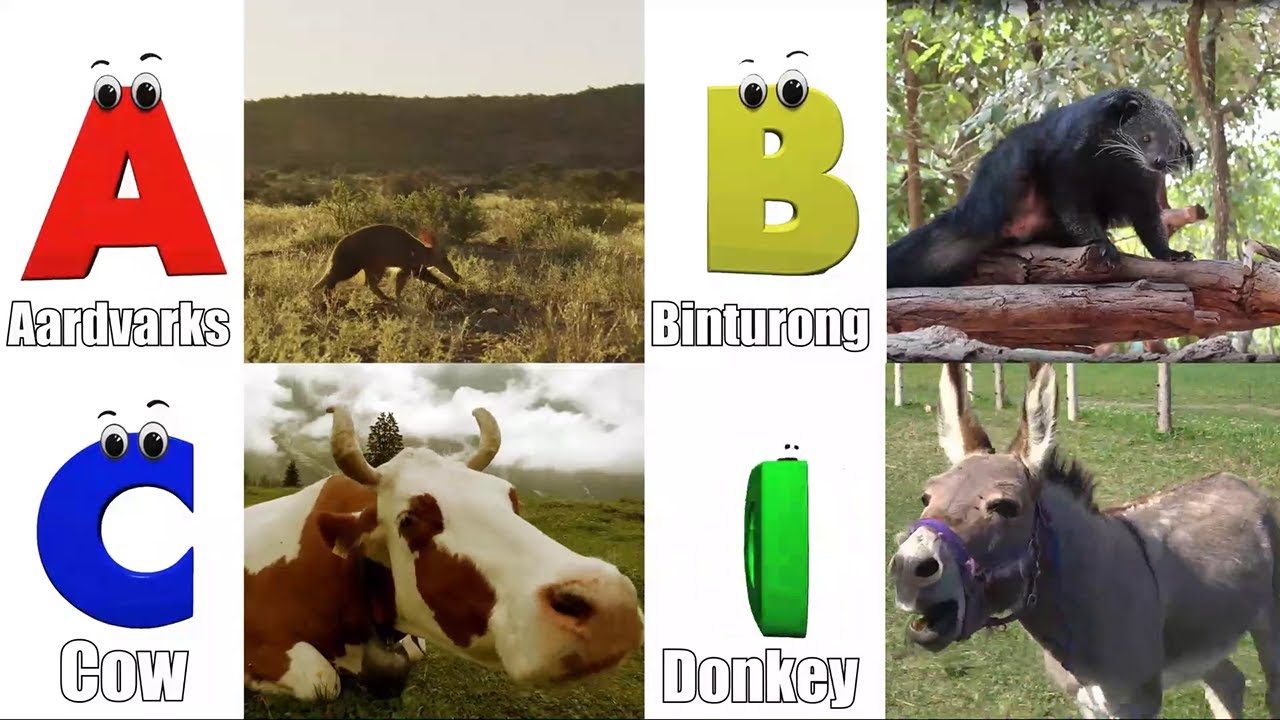 Animals ABC Song | Animals Alphabet Song | Alphabet Letters | Phonics ...